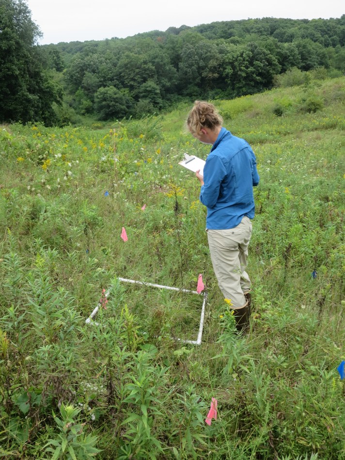 prairiesampling – Damschen Research Lab