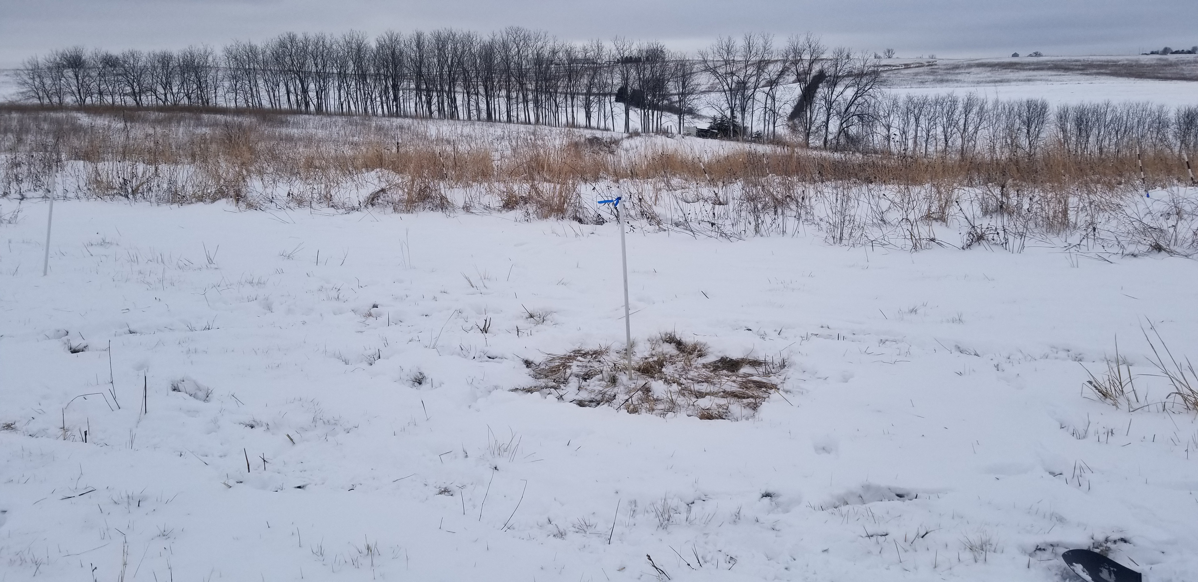 Damschen Lab joins the Midwest Climate Adaptation Science Center ...