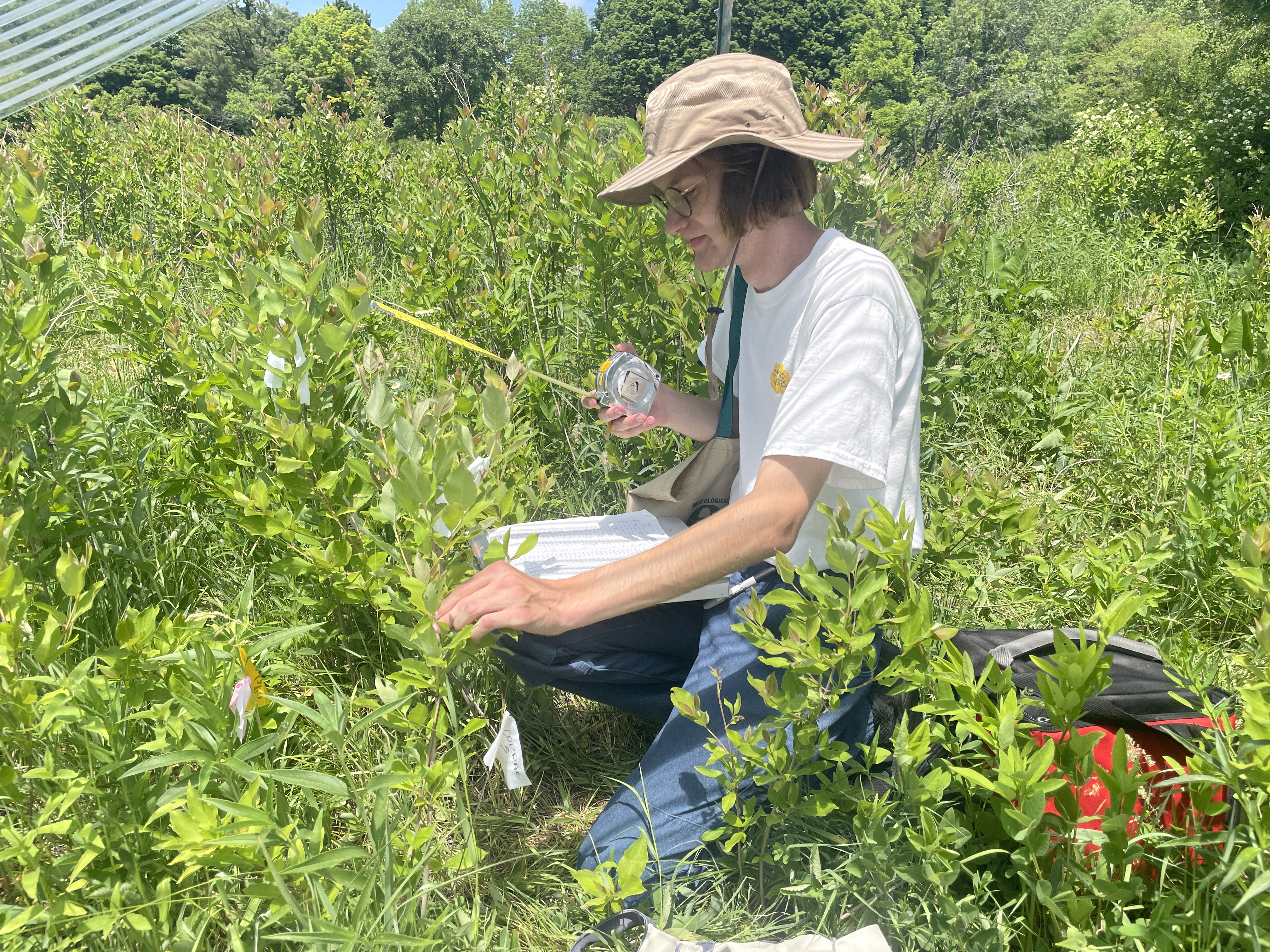 Damschen Lab joins the Midwest Climate Adaptation Science Center ...