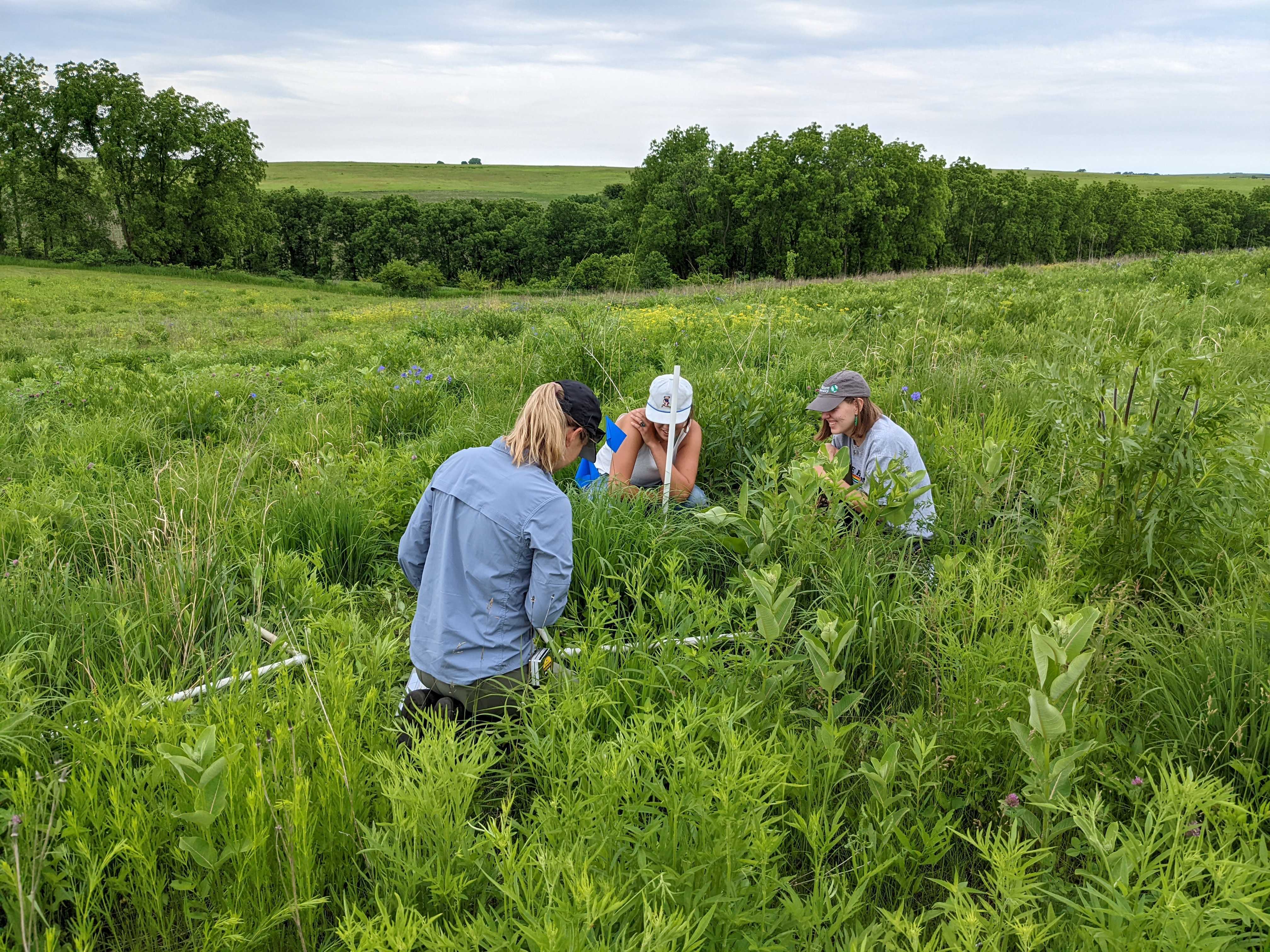 Damschen Lab joins the Midwest Climate Adaptation Science Center ...